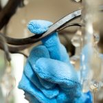 Soft Hand – Staubhandschuh – Das Blaue Wunder